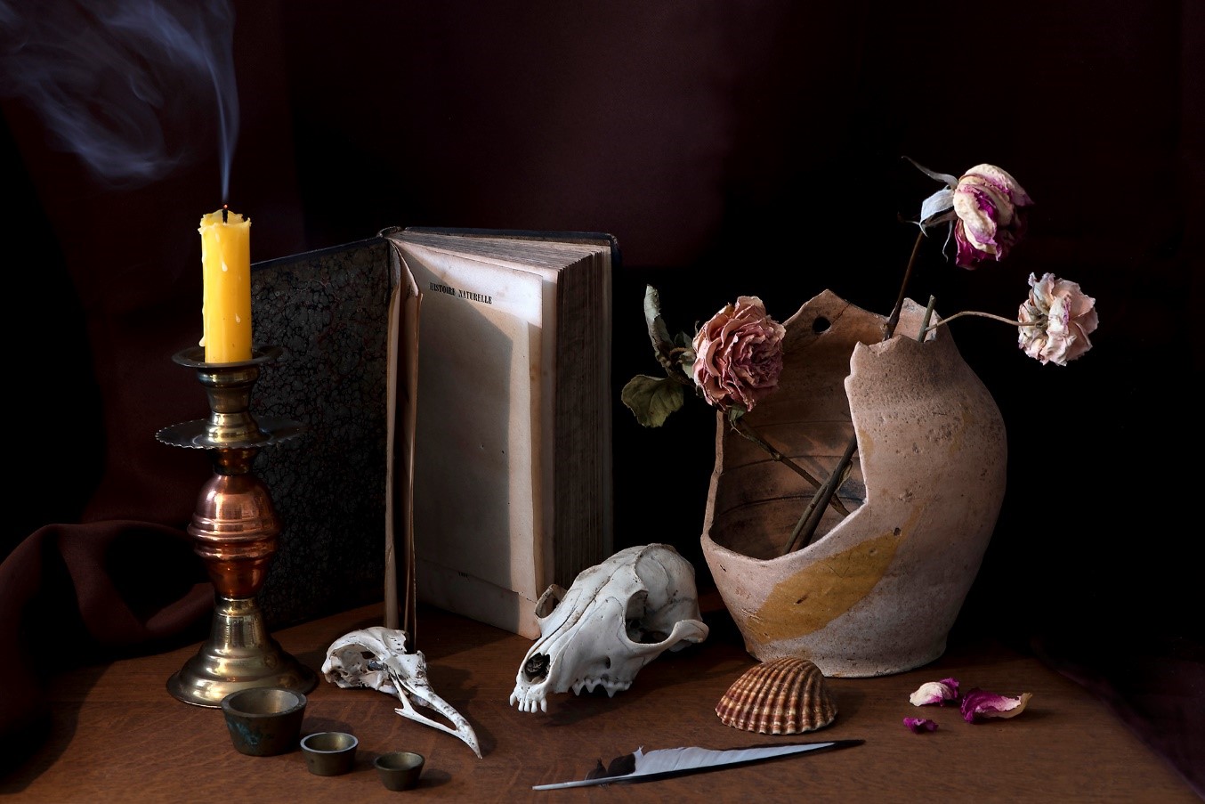 Vanité – Objectif Image Lyon